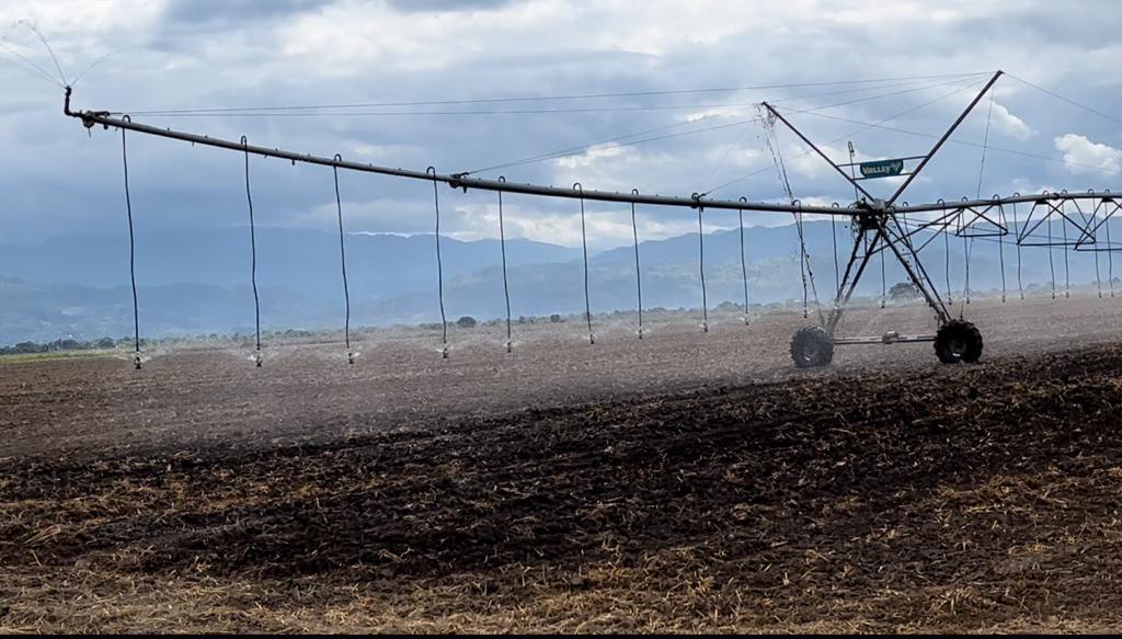 Gallery - PeAgro-Impex Tanzania Company